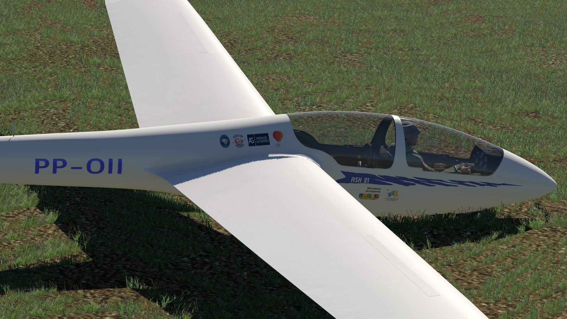 ASK-21 PP-OII - Aircraft Skins - Liveries - X-Plane.Org Forum