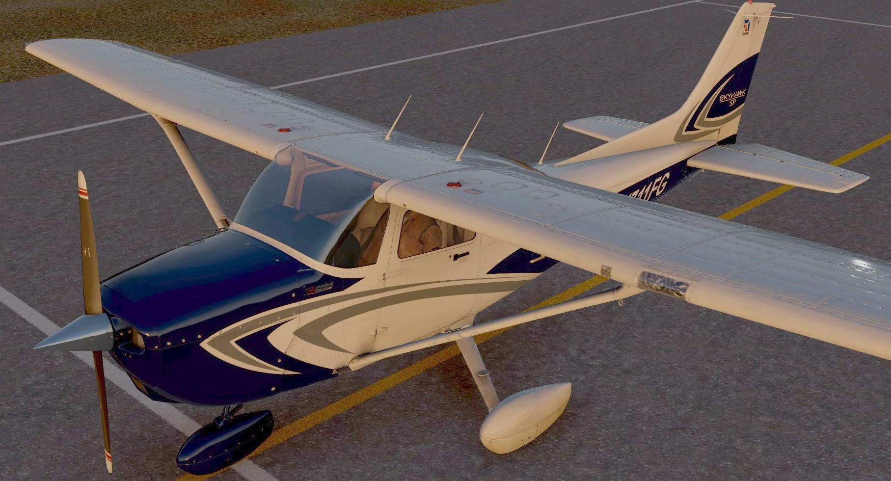 C172SP N711FG 2019.rar - Aircraft Skins - Liveries - X-Plane.Org Forum
