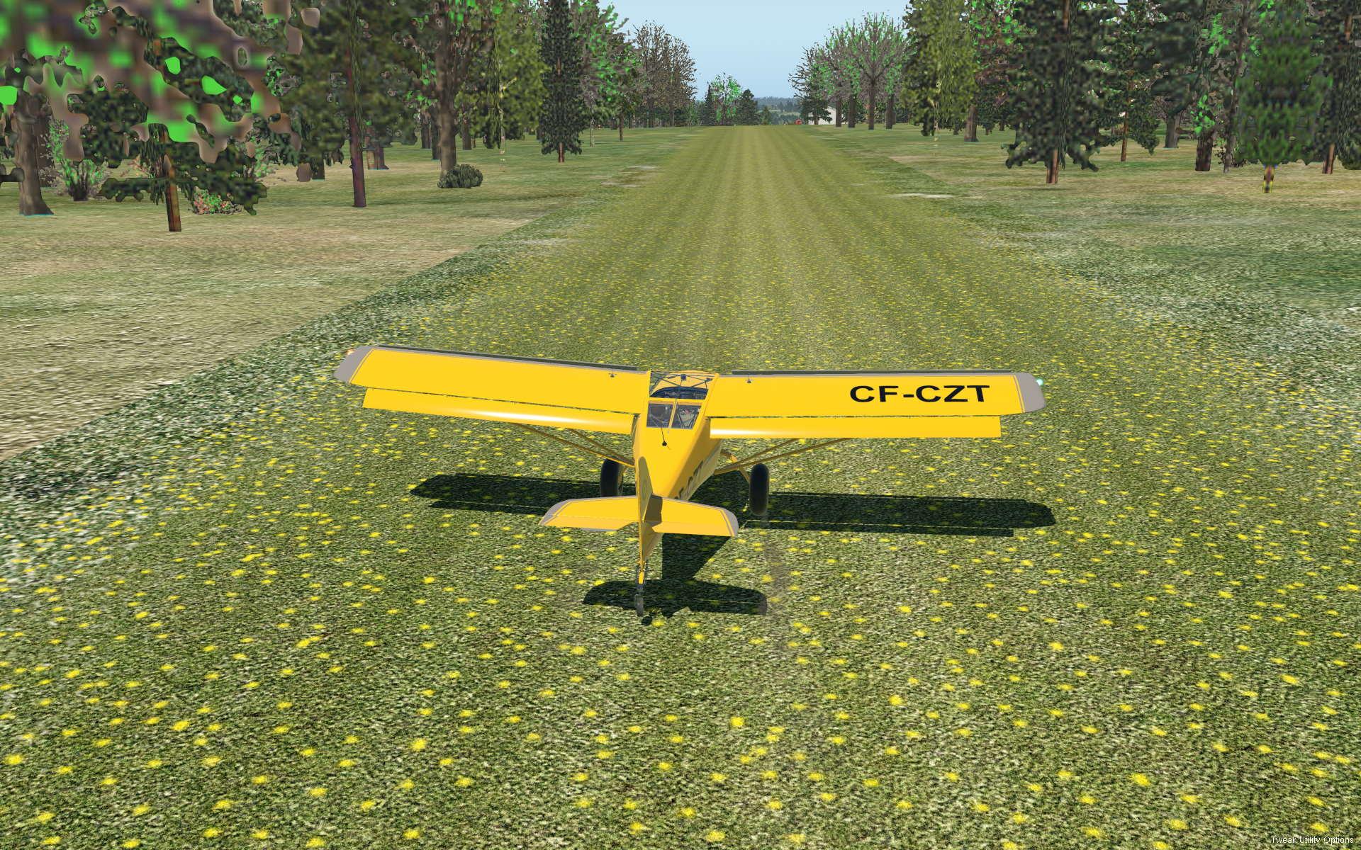 Spring Grass Runways - Scenery Enhancement Packs - X-Plane.Org Forum
