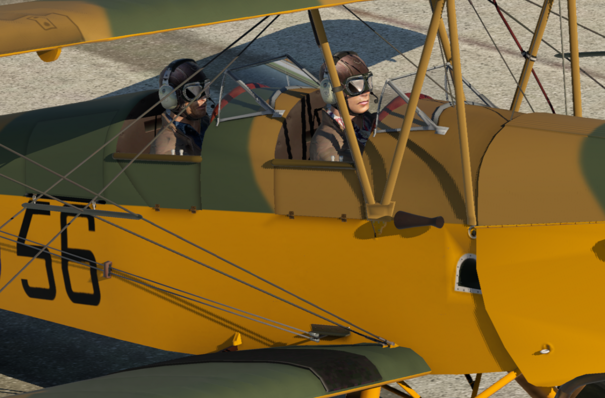 WACO_Pilot_Tiger-Moth (instructions and textures) - Aircraft Skins ...