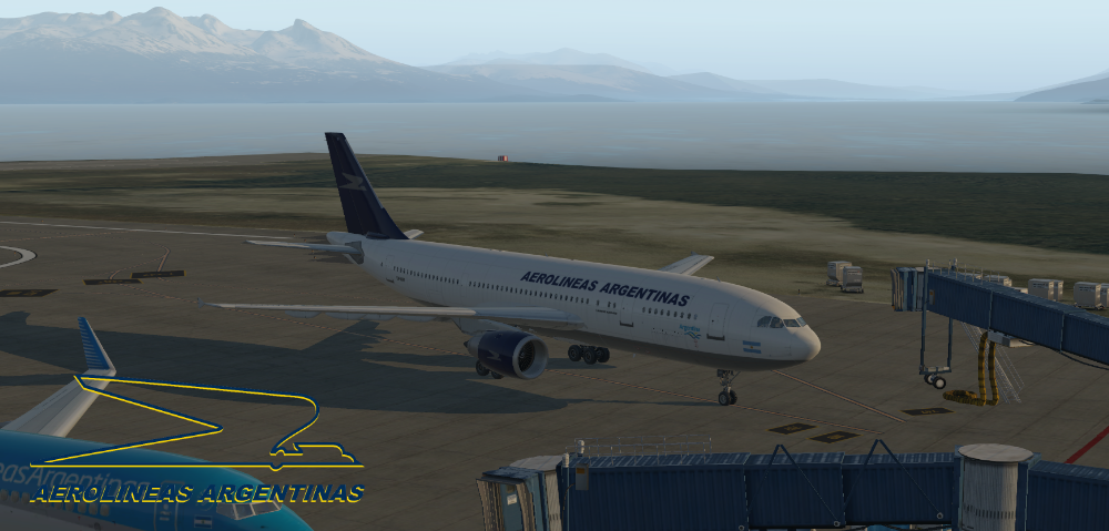 INI Simulations A300-600R Aerolineas Argentinas (GE) - Aircraft Skins ...