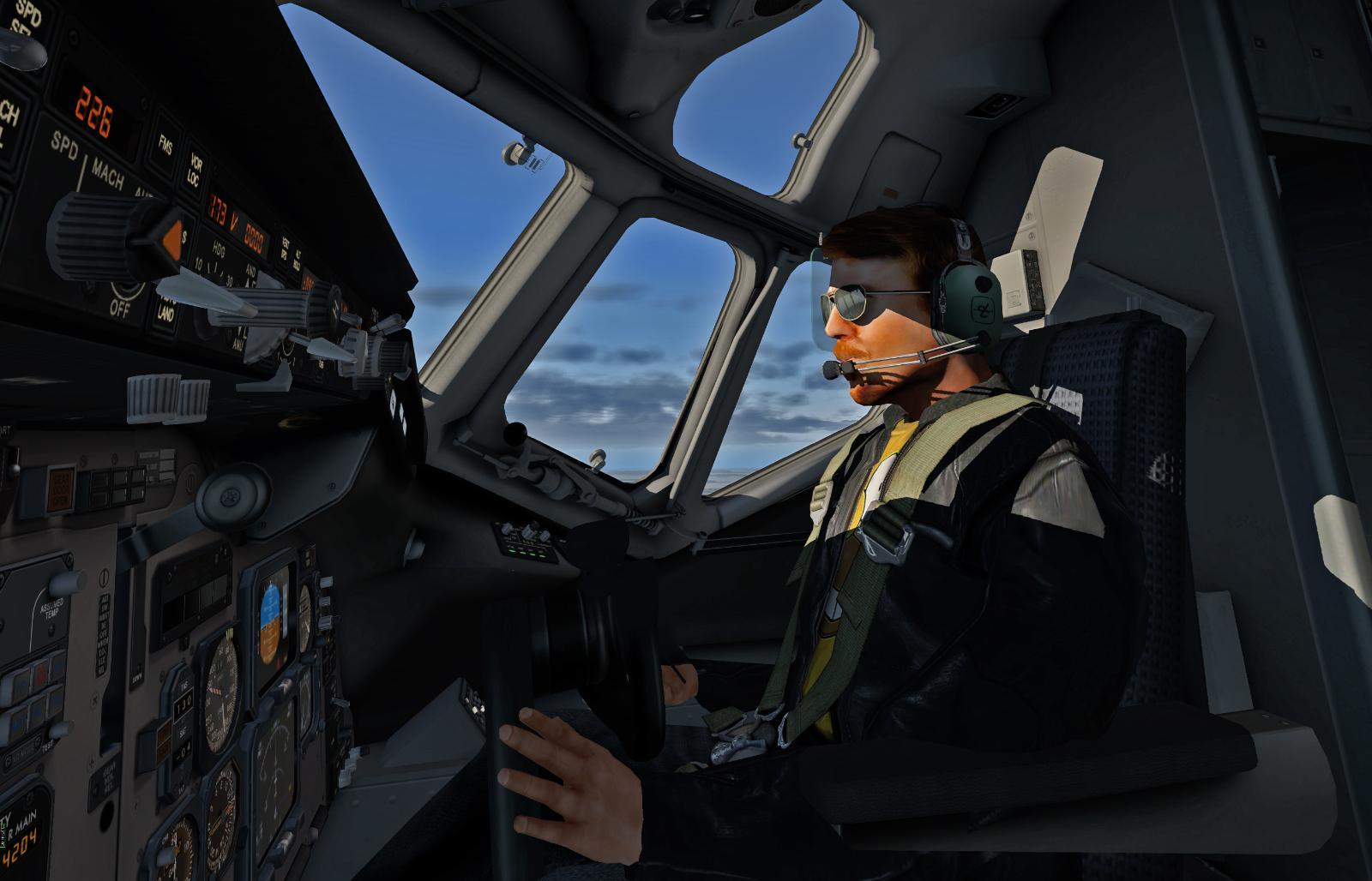 A static copilot just to occupy the seat? - General X-Plane Discussion ...