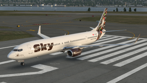 Sky Airlines [TC-SKP] LevelUp 737-900ER - Aircraft Skins - Liveries - X ...