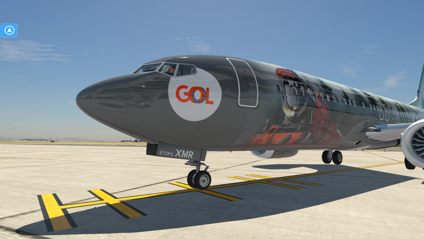 737-MAX8 GOL Harry Potter - Aircraft Skins - Liveries - X-Plane.Org Forum