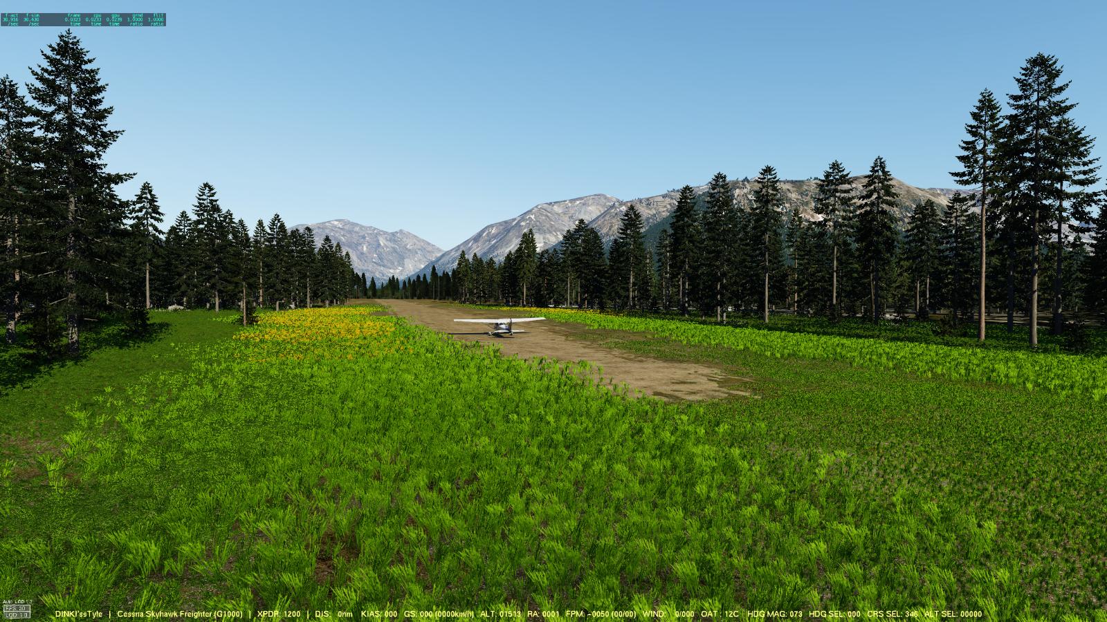 2.9D Grass for XP12 (INCL. DEMO Scenery) - Scenery Packages XP12 - X ...