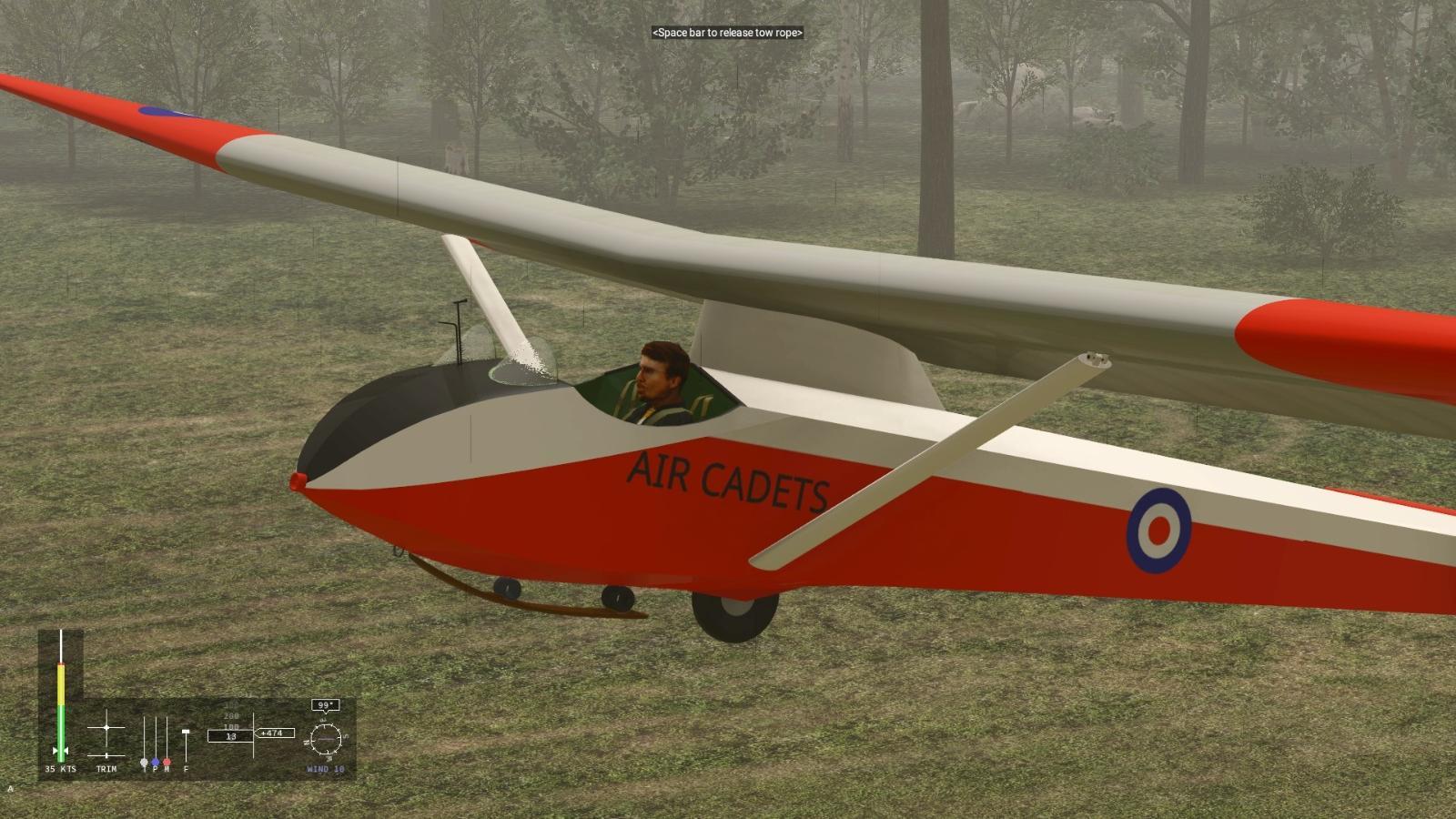 SlingsbyT21B.zip - Gliders and Motor-Gliders XP12 - X-Plane.Org Forum