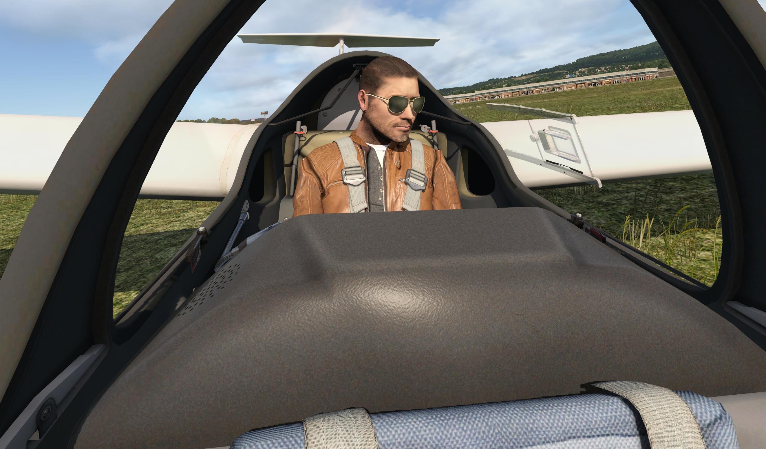 ASK21 B21 - NHAdrian upgrade - Gliders and Motor-Gliders XP12 - X-Plane ...
