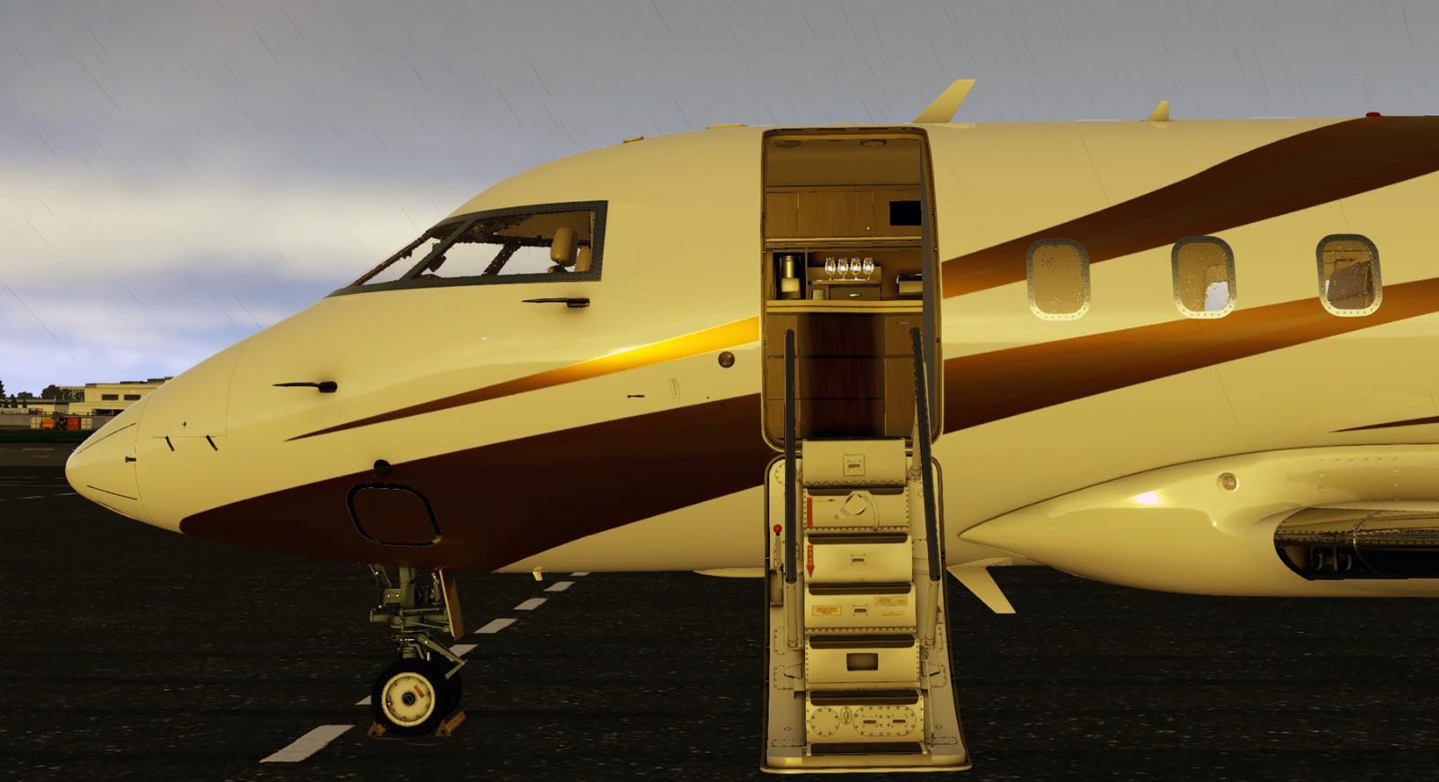 N781MM - MGM Resorts - Hot Start Challenger 650 - Aircraft Skins ...