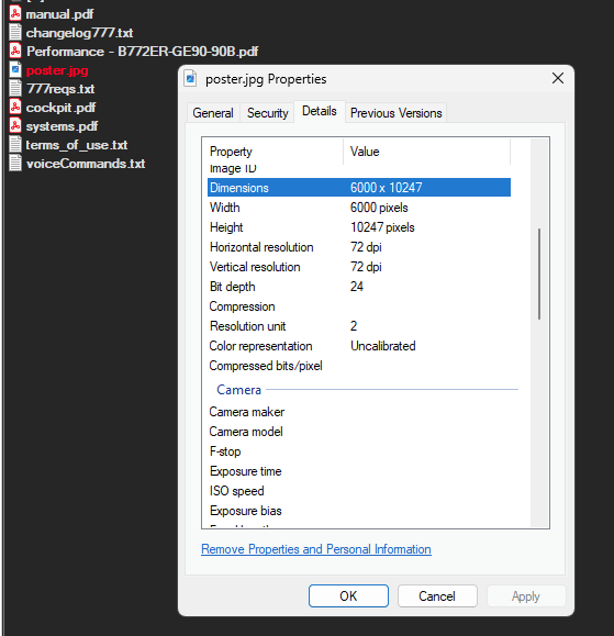 The Poster - High-Resolution 13380 x 22850 is missing - FIXED - X-Plane ...