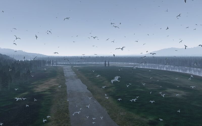 Where are the birds (and maybe, deer)? - General X-Plane Discussion - X ...