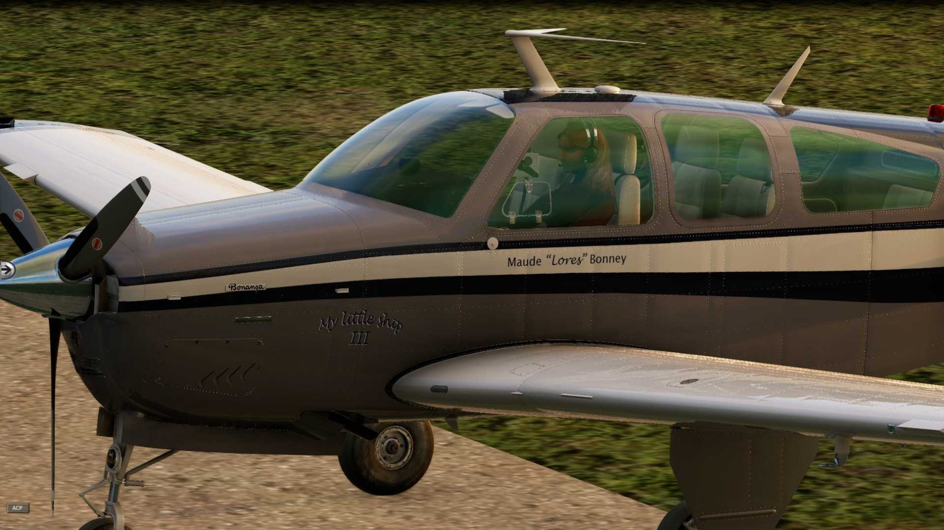 F33A Dynamic Livery Showroom - Page 2 - Thranda F33A Bonanza - X-Plane ...
