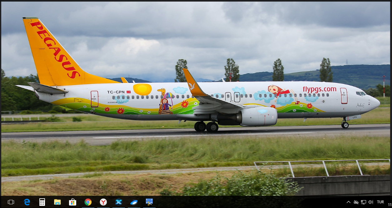 Livery for Zibo mod 737 800x - X-Plane 11 / 12 Pegasus Airlines Ada E ...