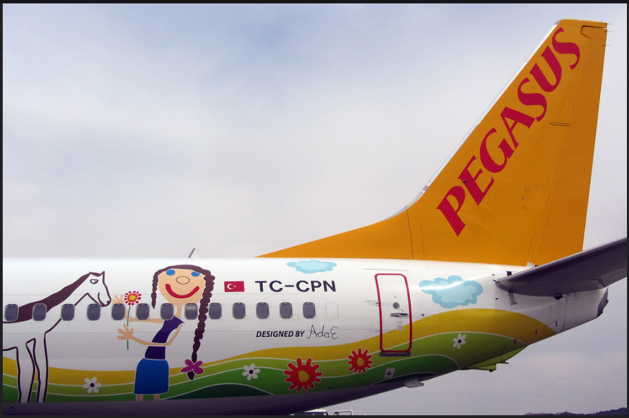 Livery for Zibo mod 737 800x - X-Plane 11 / 12 Pegasus Airlines Ada E ...