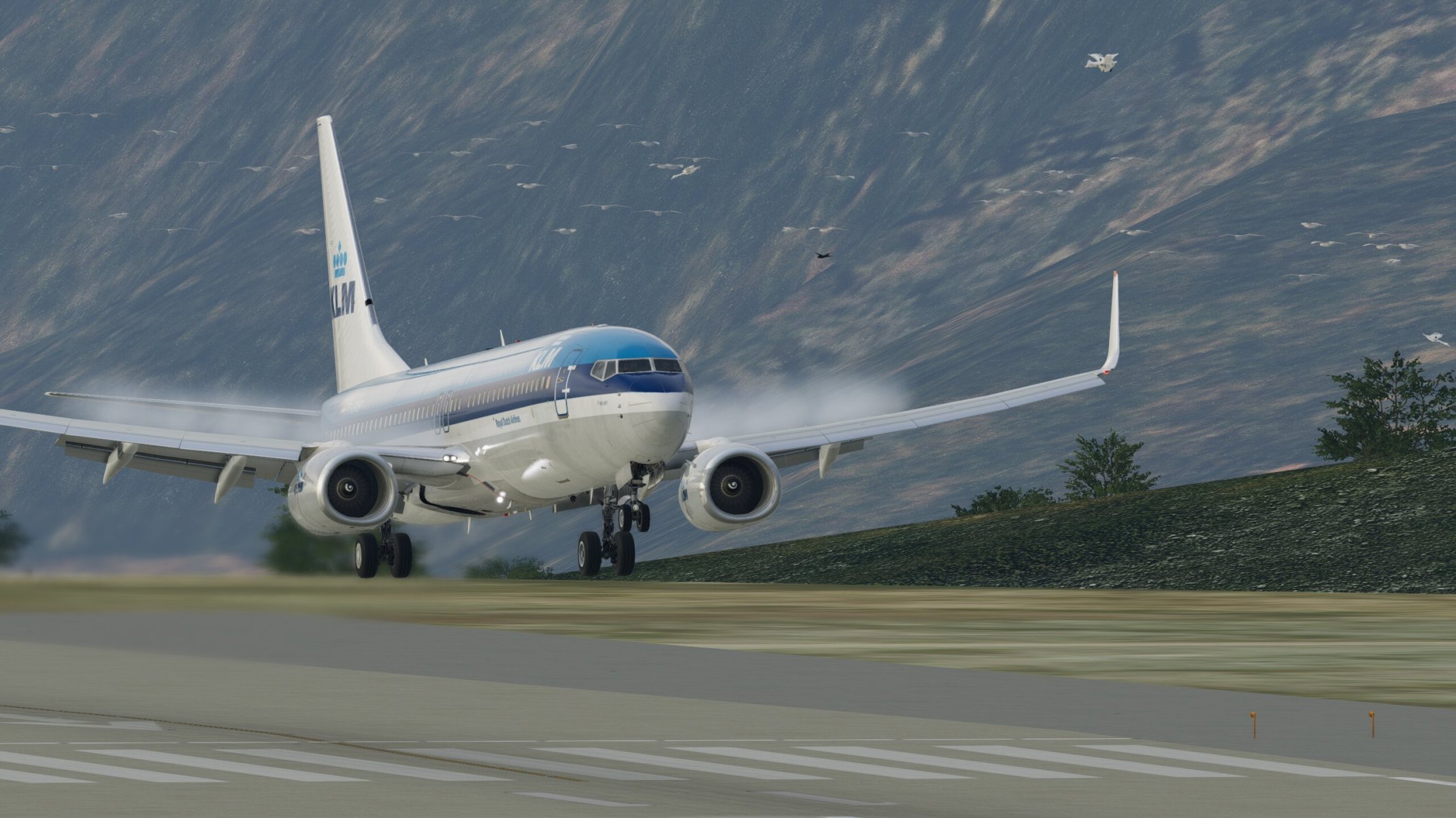 KLM Level Up 737-800 Old Livery - Other Aircraft Livery - X-Plane.Org Forum