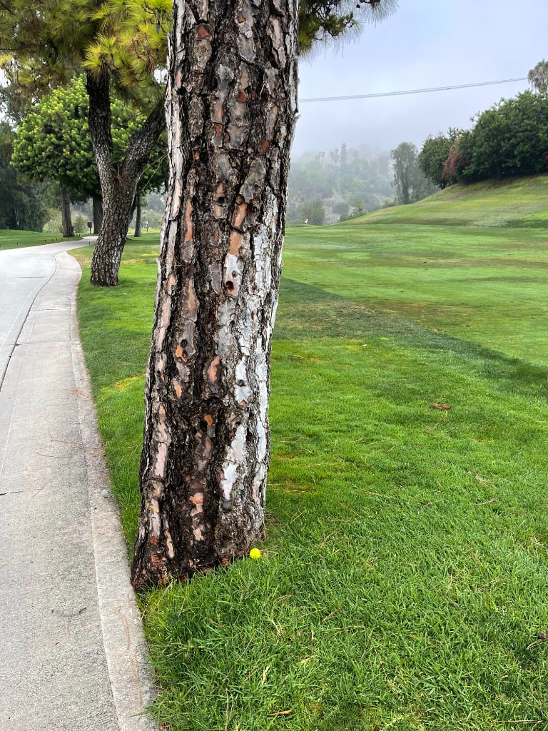 Cart Path Relief - Unplayable Lie - Rules of Golf and Etiquette - GolfWRX