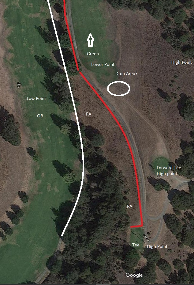 Proposed drop zone? - Rules of Golf and Etiquette - GolfWRX