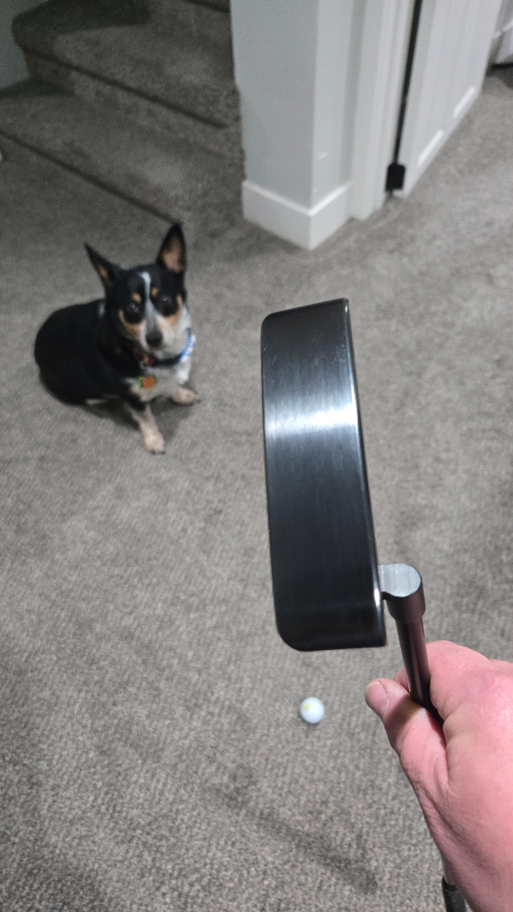 Carbon custom stubby neck putter. - For Sale Archive-For Feedback ...