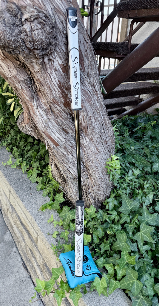 Titleist GT4 9° head, GT1 3Tour head, TaylorMade Spider ZT 33.5 ...