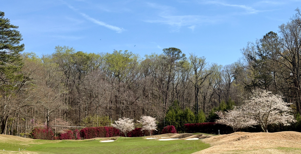 Atlanta area general golf thread. - Page 5 - Southeast - GolfWRX