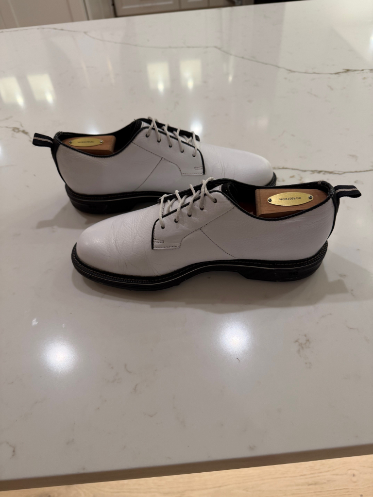 Price Drop! Barely Used Titliest T250 5-Gap Irons, Footjoy Premier ...