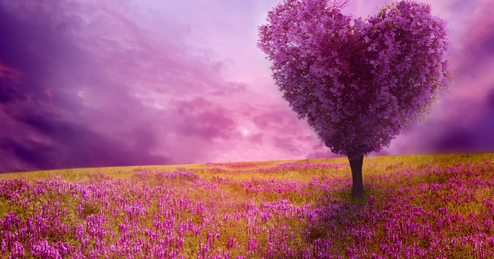 The Colors of Love - Relationships - eNotAlone