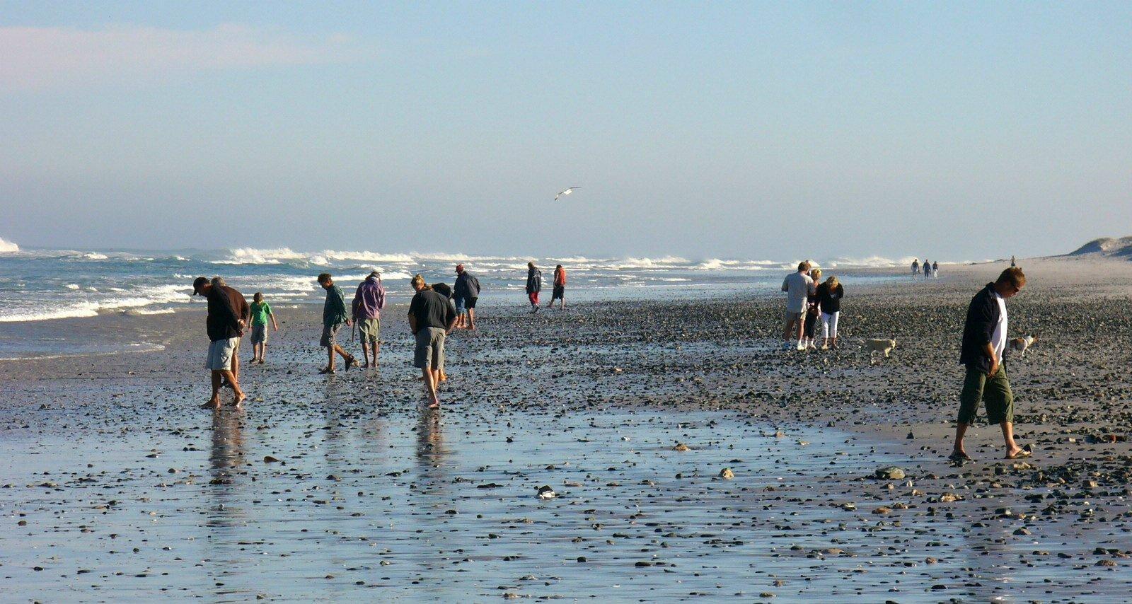 Big Bay (4).JPG - Member Collections - The Fossil Forum