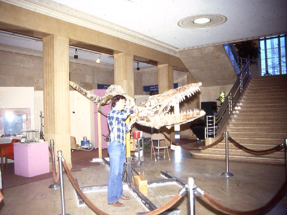 slide0018.jpg - Member Collections - The Fossil Forum