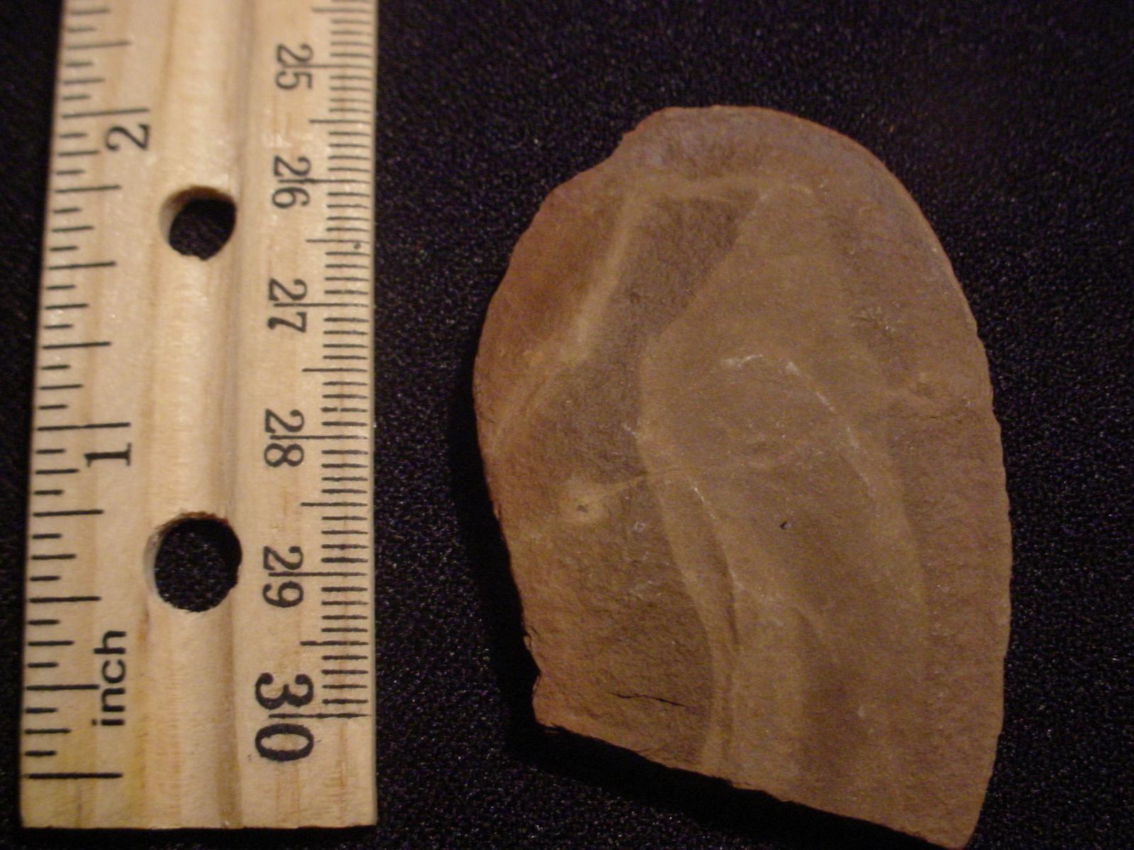 Tullimonstrum gregarium RCMCA0465.jpg - Member Collections - The Fossil ...