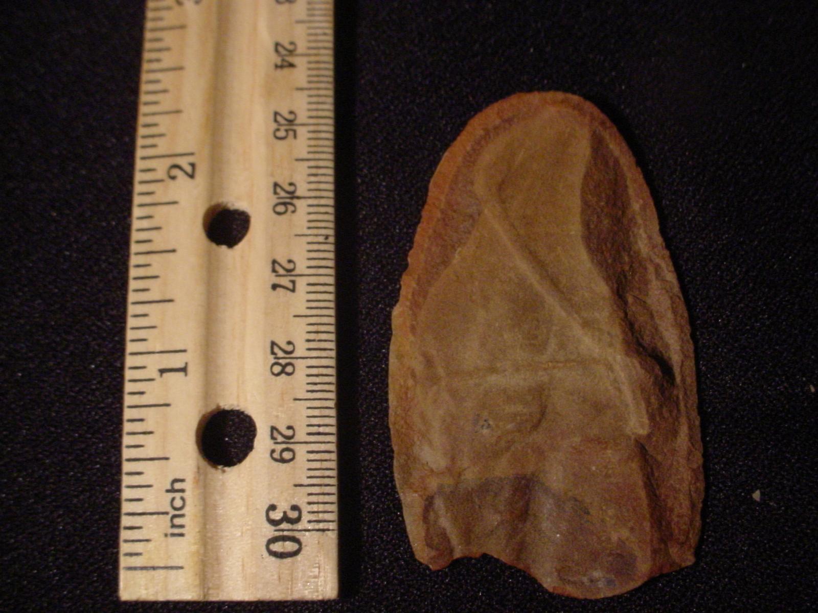 Tullimonstrum gregarium RCMC0466.jpg - Member Collections - The Fossil ...