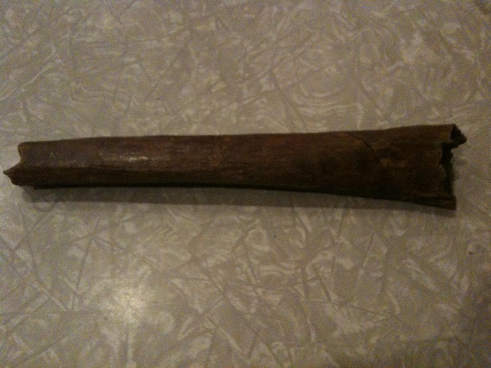Edmontosaurus Leg Bone - Member Collections - The Fossil Forum