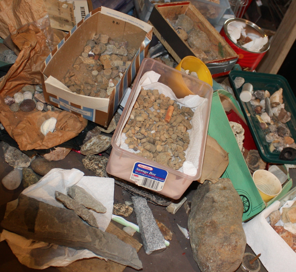 what a mess - Member Collections - The Fossil Forum
