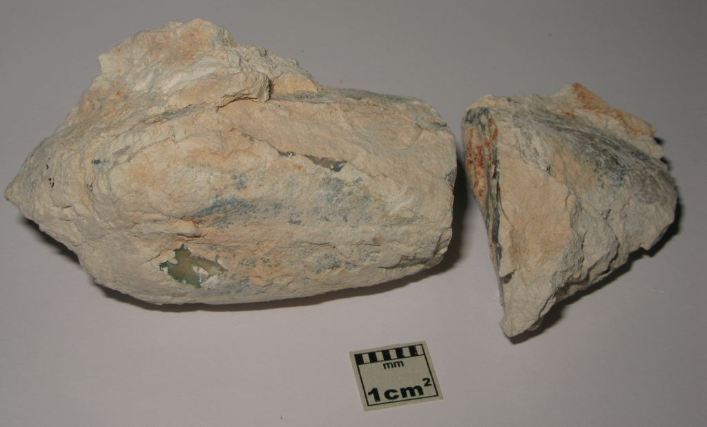 Opalised bivalve shell from Lightning Ridge, NSW, Australia - Member ...