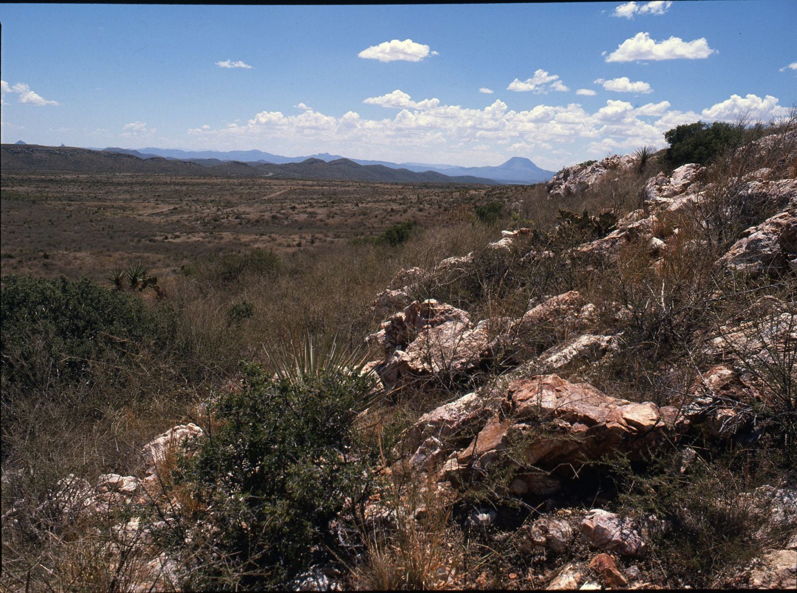 Caballos Novaculite, Near Marathon Basin, Tx - Member Collections - The ...