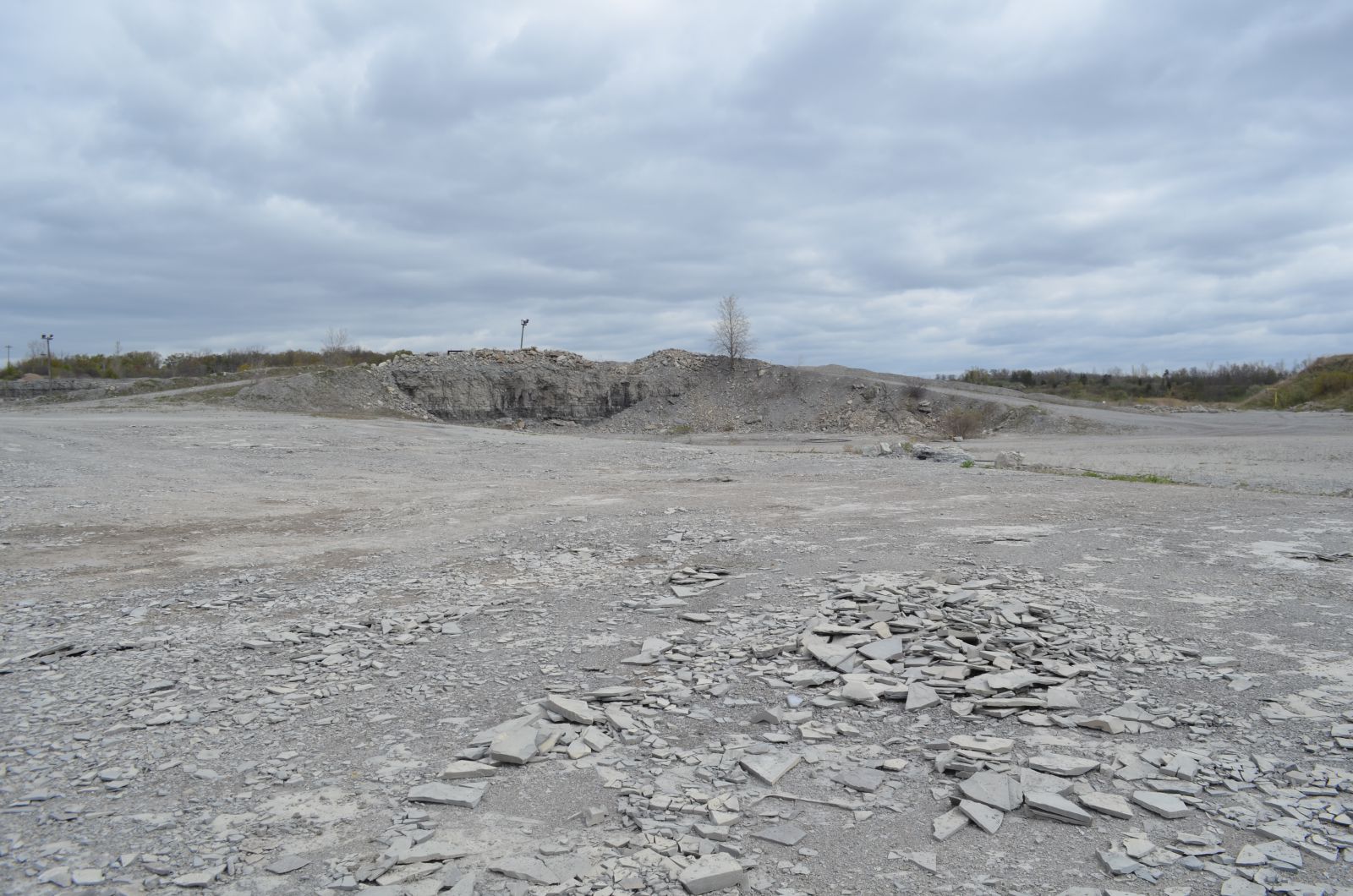 Quarry scene - Member Collections - The Fossil Forum