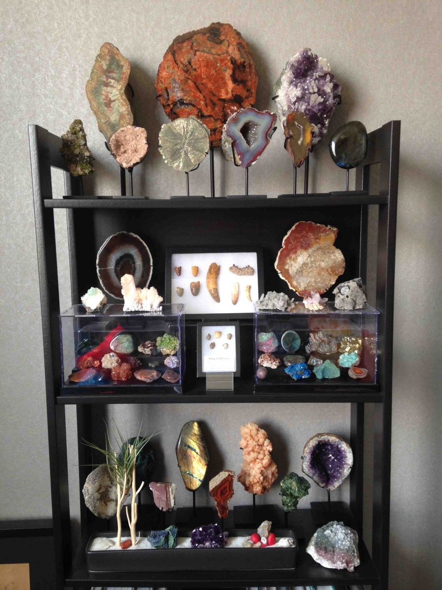 natural curiosities - Member Collections - The Fossil Forum