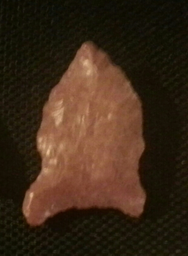 pretty in pink - Member Collections - The Fossil Forum