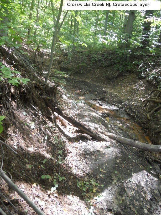 Crosswick Creek Tributary, Burlington County, New Jersey - Member ...