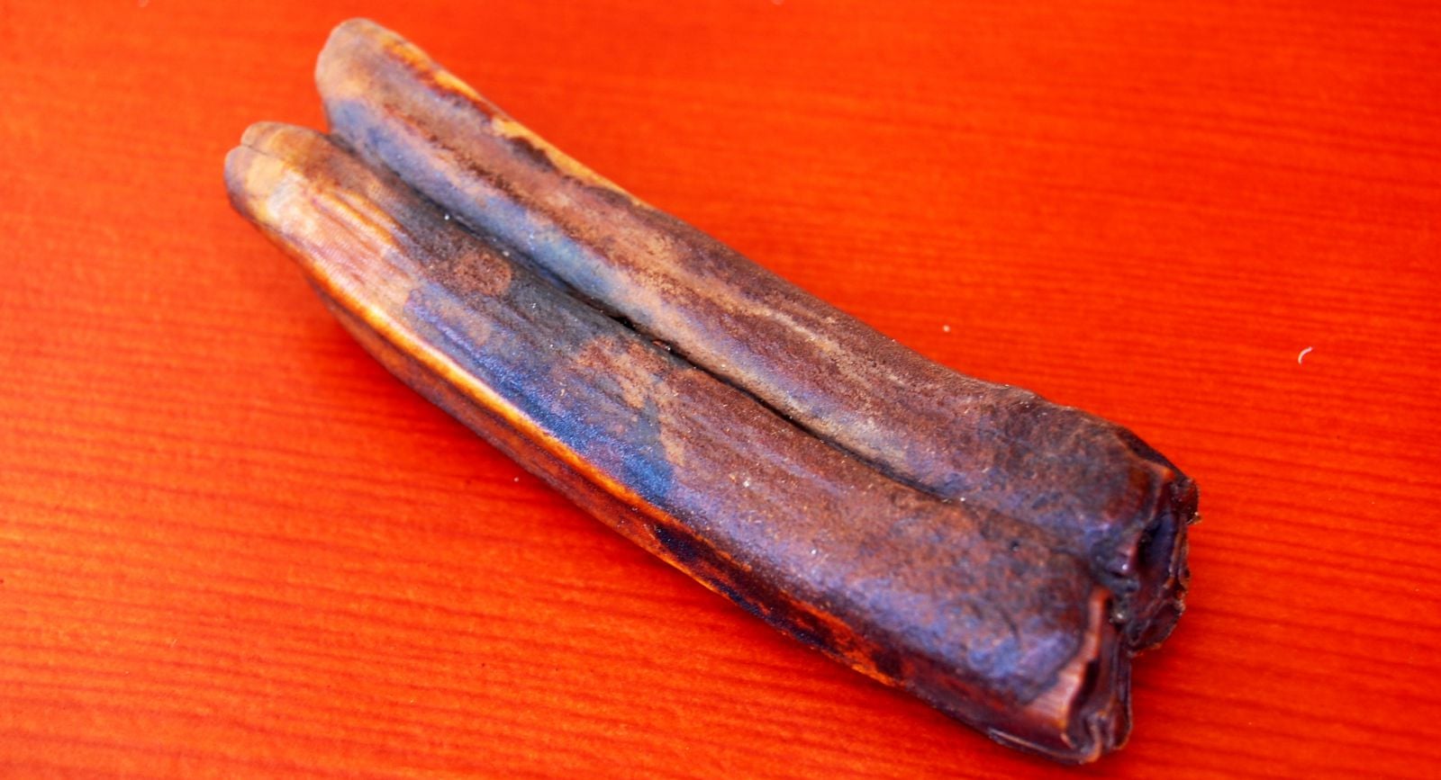 equus molar - Member Collections - The Fossil Forum