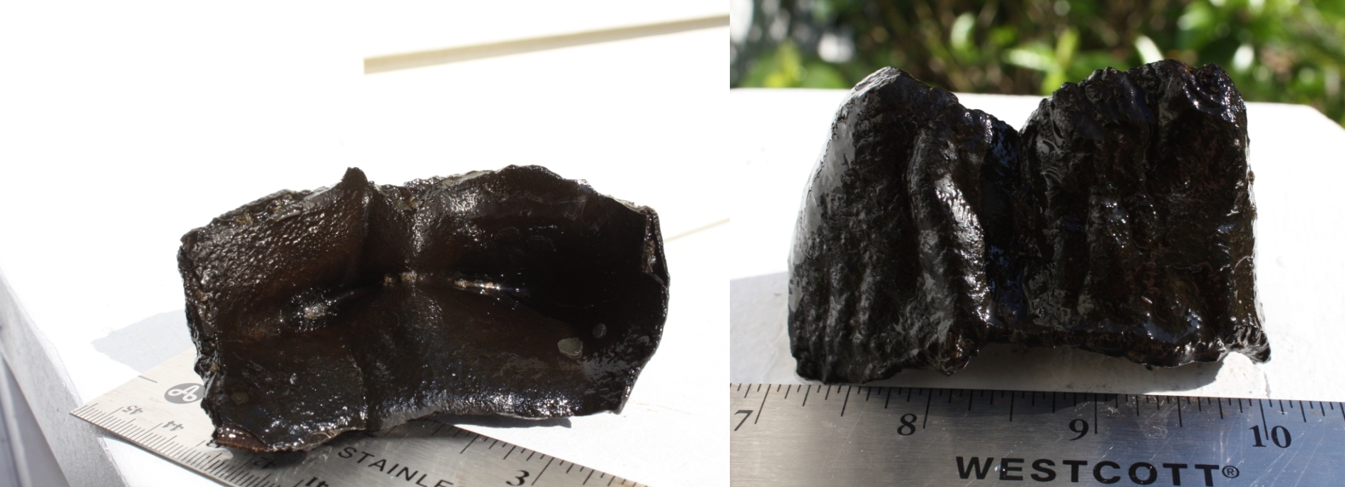 Chunks Of Fossil Tooth Enamel? - Fossil ID - The Fossil Forum
