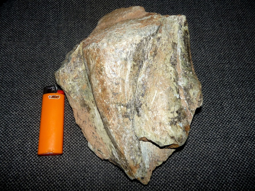 Large Tooth From Western Australia's Pilbara Region ? - Fossil ID - The ...