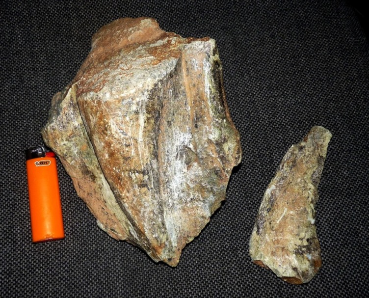 Large Tooth From Western Australia's Pilbara Region ? - Fossil ID - The ...