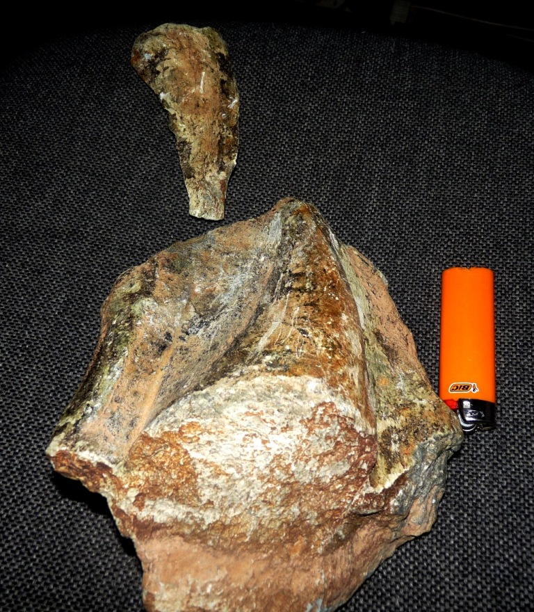 Large Tooth From Western Australia's Pilbara Region ? - Fossil ID - The ...