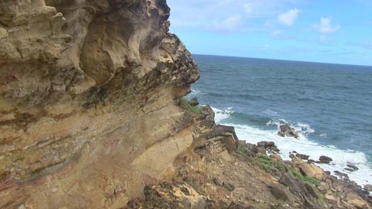 Amazing Fossils In Barbados #1 - Fossil Hunting Trips - The Fossil Forum