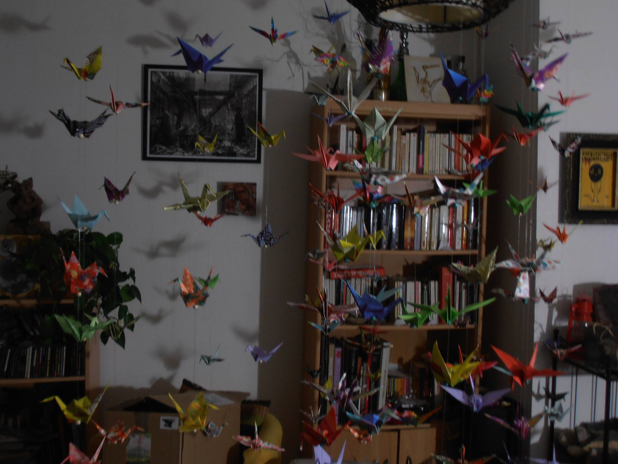 Origami And Ammonites - Paleo Re-creations - The Fossil Forum