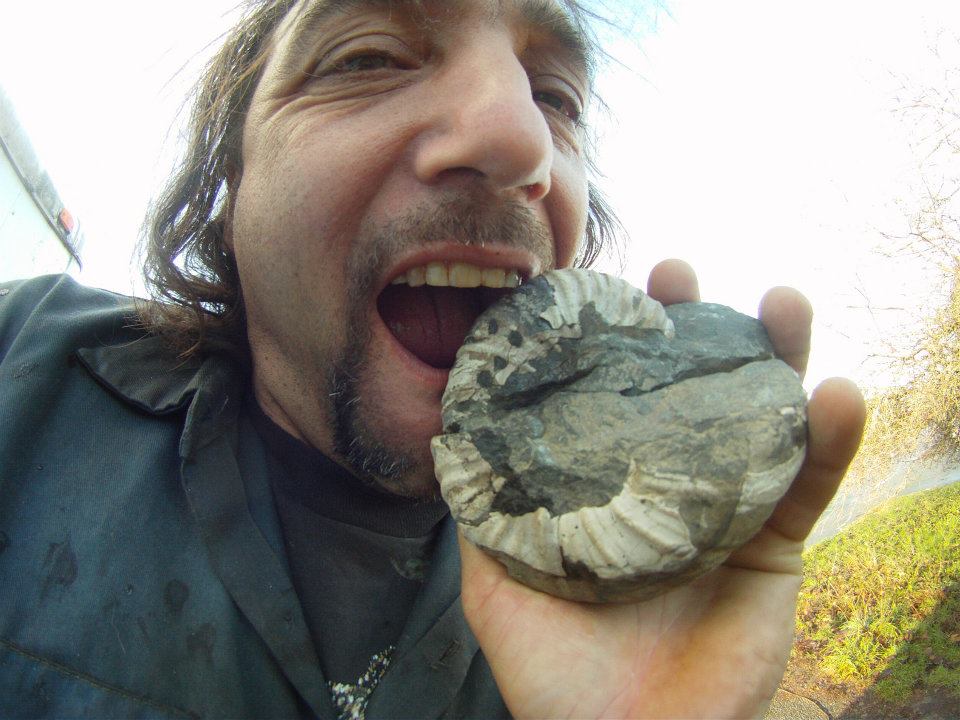 Let's See Your Fossils With Bite/predation Marks - Member Collections ...