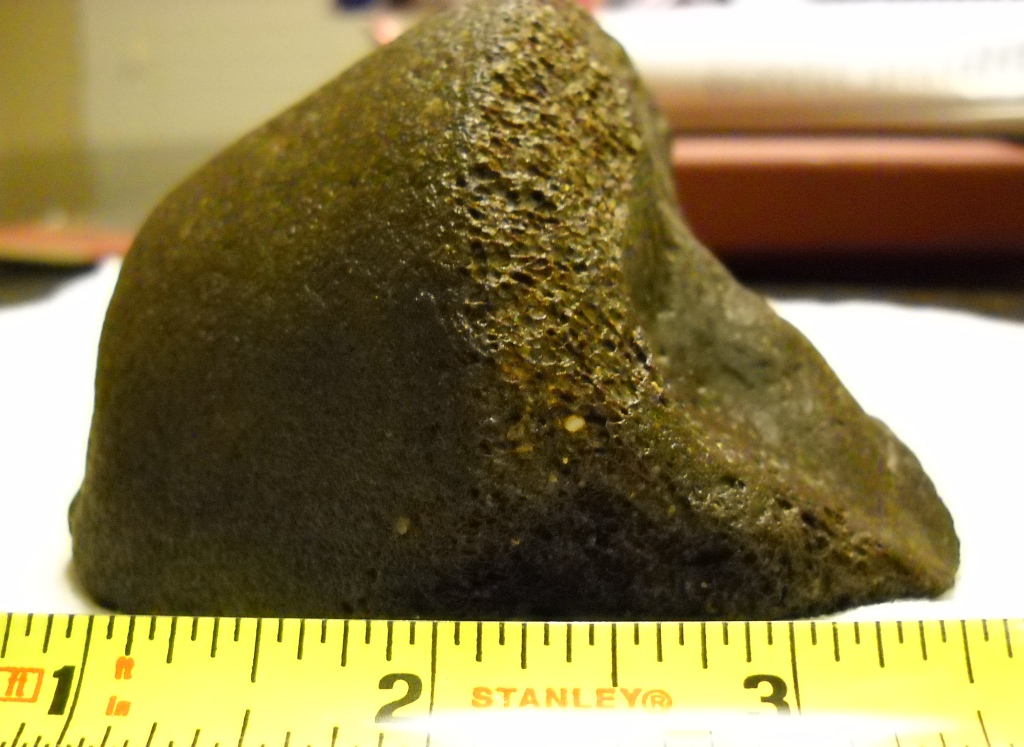 Pleisto Chunk Of What? - Fossil ID - The Fossil Forum