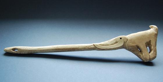 Need Help Identifying This Fossilized Bone. - Page 2 - Fossil ID - The ...