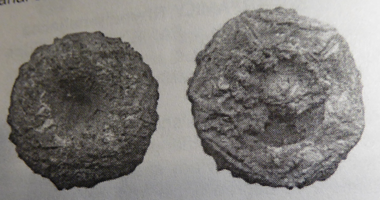 Pennsylvanian crinoid cup or sponge - Fossil ID - The Fossil Forum