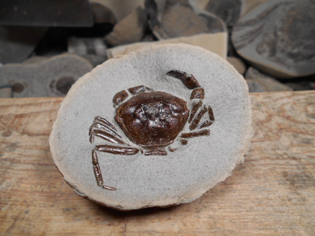 An Unexpected Beauty of a Fossil Crab ! - Fossil Preparation - The ...