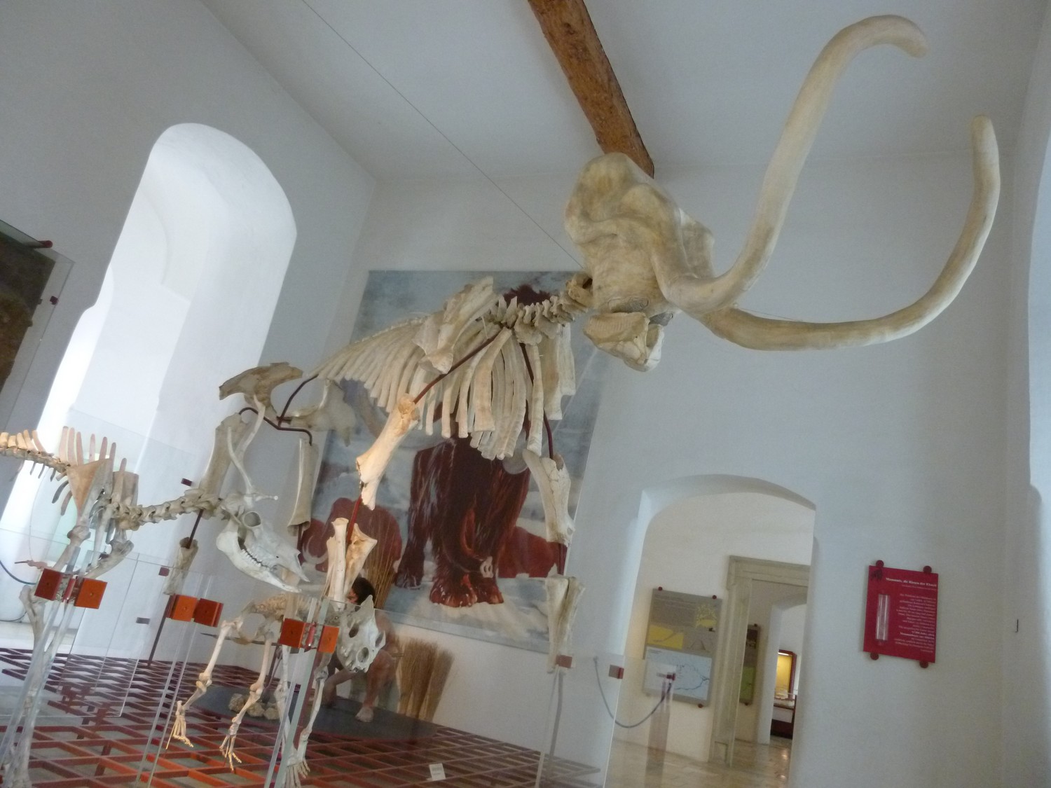 Solnhofen Fossil Museum - A Trip to the Museum - The Fossil Forum